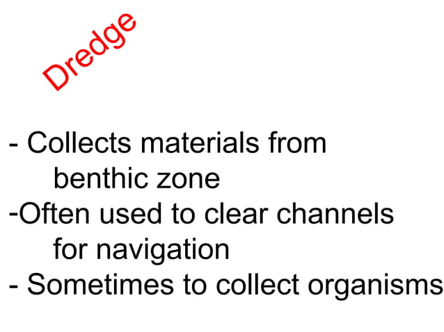 Sampling The Benthos | PPT