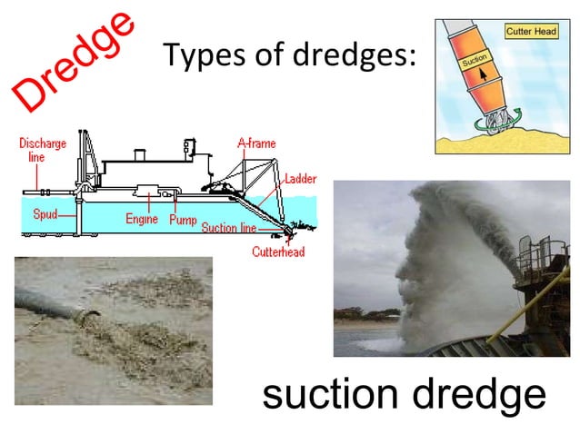 Sampling The Benthos | PPT