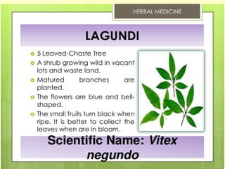 Sampong-Halamang-Gamot.pdf | Herbs and Supplements | Alternative Medicine