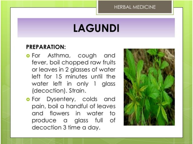 Sampong-Halamang-Gamot.pdf