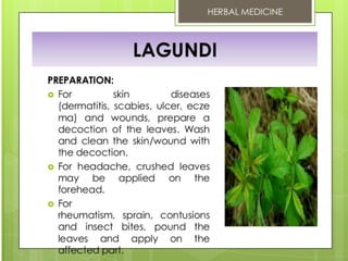 Sampong-Halamang-Gamot.pdf | Herbs and Supplements | Alternative Medicine