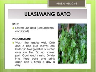 Sampong-Halamang-Gamot.pdf