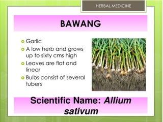 Sampong-Halamang-Gamot.pdf | Herbs and Supplements | Alternative Medicine