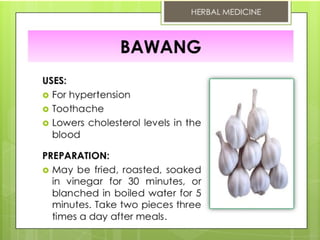 Sampong-Halamang-Gamot.pdf