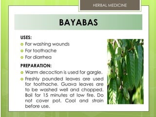 Sampong-Halamang-Gamot.pdf | Herbs and Supplements | Alternative Medicine