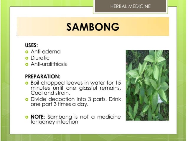 Sampong-Halamang-Gamot.pdf
