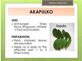 Sampong-Halamang-Gamot.pdf