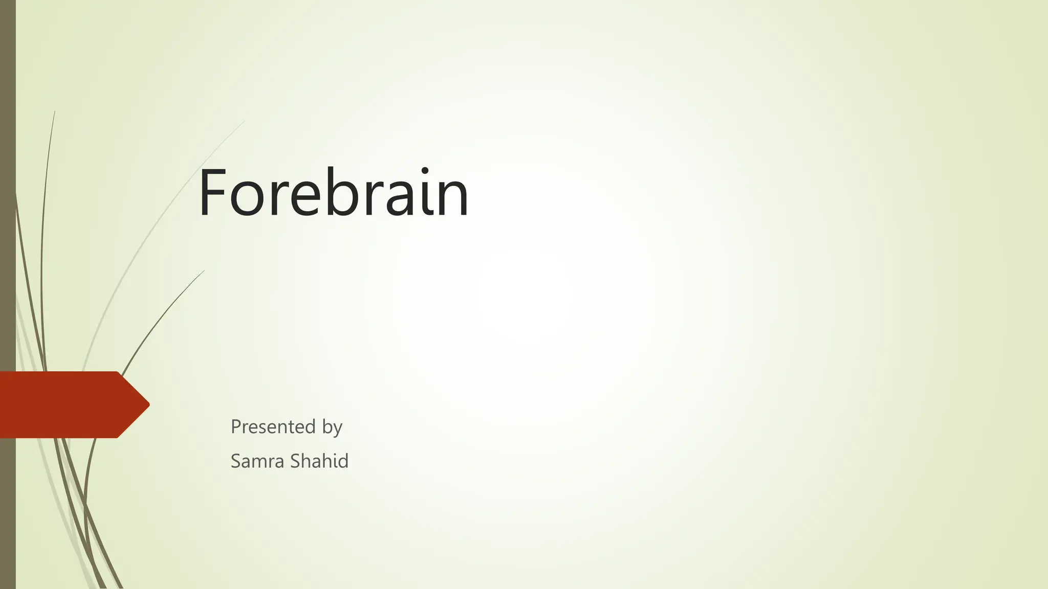 Parts of Brain mainly the Forebrain .pptx
