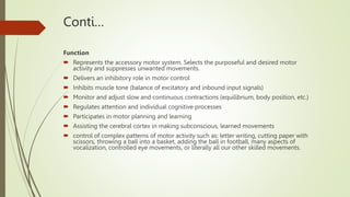 Parts of Brain mainly the Forebrain .pptx