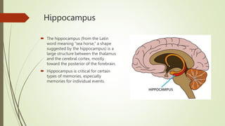 Parts of Brain mainly the Forebrain .pptx