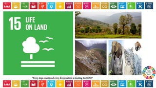 Sustainable development Goal (SDG) | PPTX