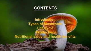 The Mushroom and its Production Syudy and Intro | PPTX | Gardening ...