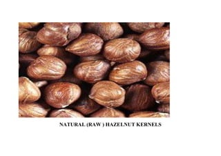Samrioglu hazelnuts types, sizes, packages and varieties | PDF