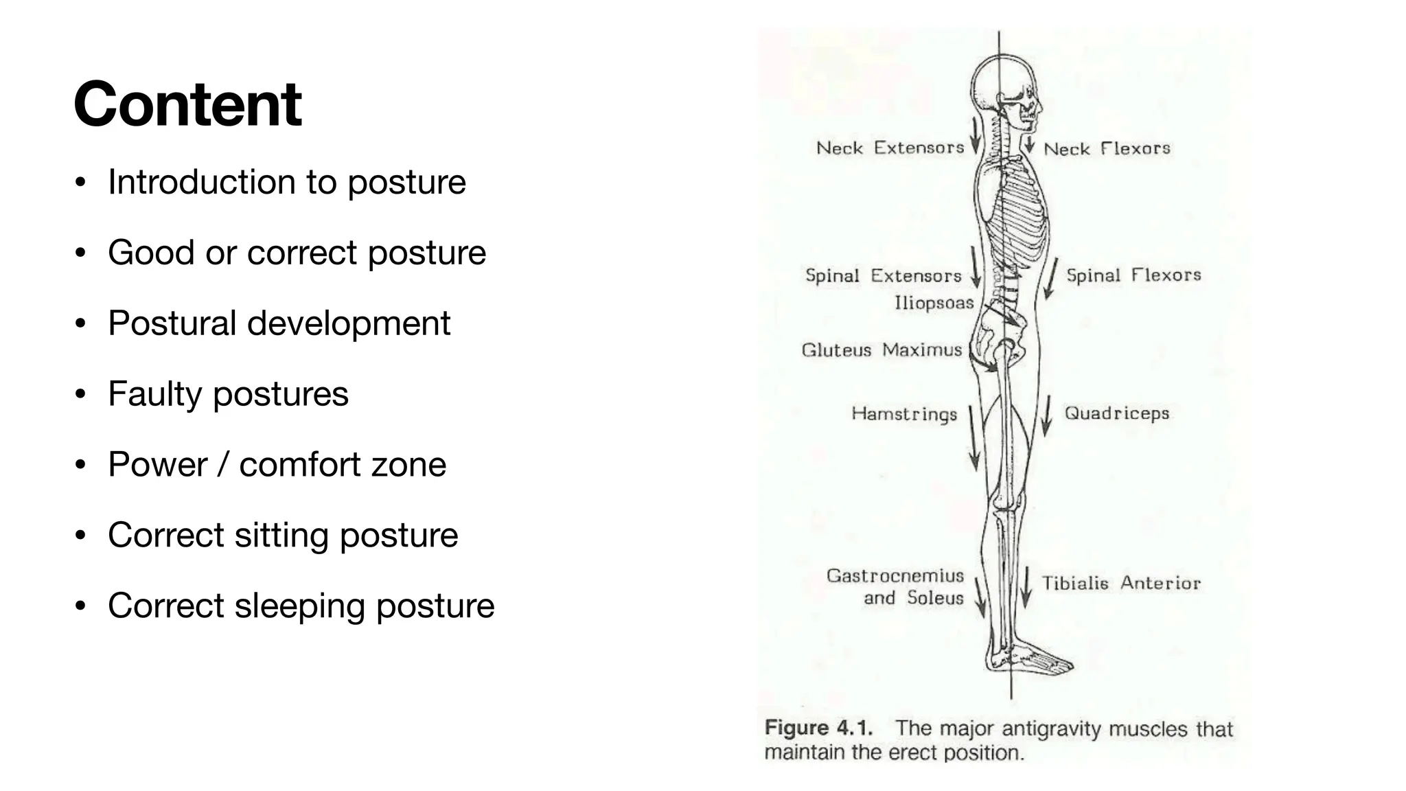 Posture And Ergonomics (Samrth Pareta).ppt | Free Download