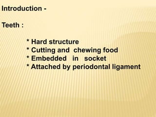 difference between primary and secondary tooth | PPTX