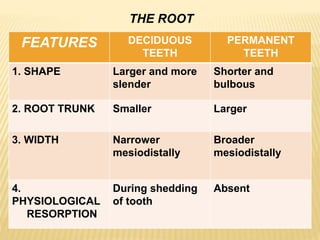 difference between primary and secondary tooth | PPTX