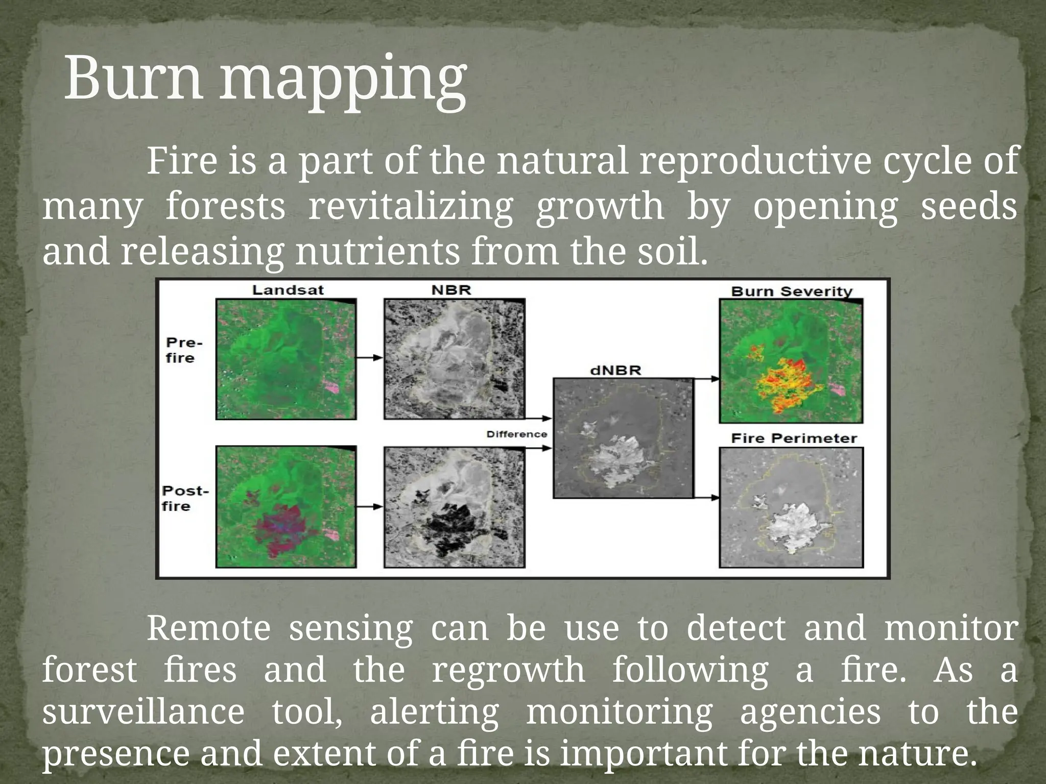 Application of remote Sensing and GIS in forest monitoring | PPTX