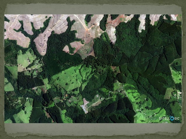 Application of remote Sensing and GIS in forest monitoring | PPTX ...