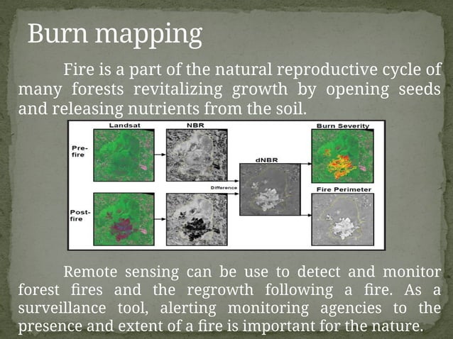 Application of remote Sensing and GIS in forest monitoring | PPTX ...