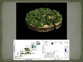 Application of remote Sensing and GIS in forest monitoring | PPTX
