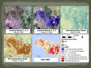 Application of remote Sensing and GIS in forest monitoring | PPT