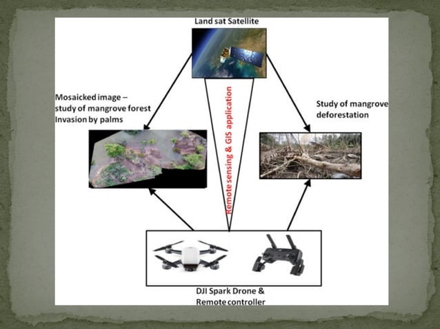 Application of remote Sensing and GIS in forest monitoring | PPT
