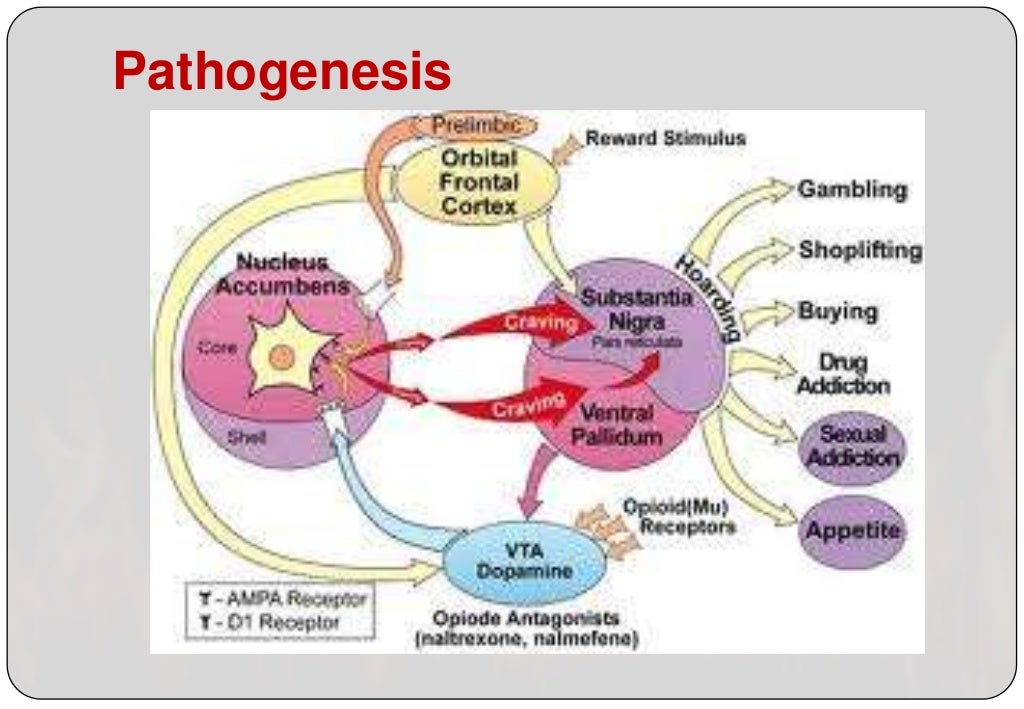 IMPULSE CONTROL DISORDERS ppt impulse-control-disorders-ppt