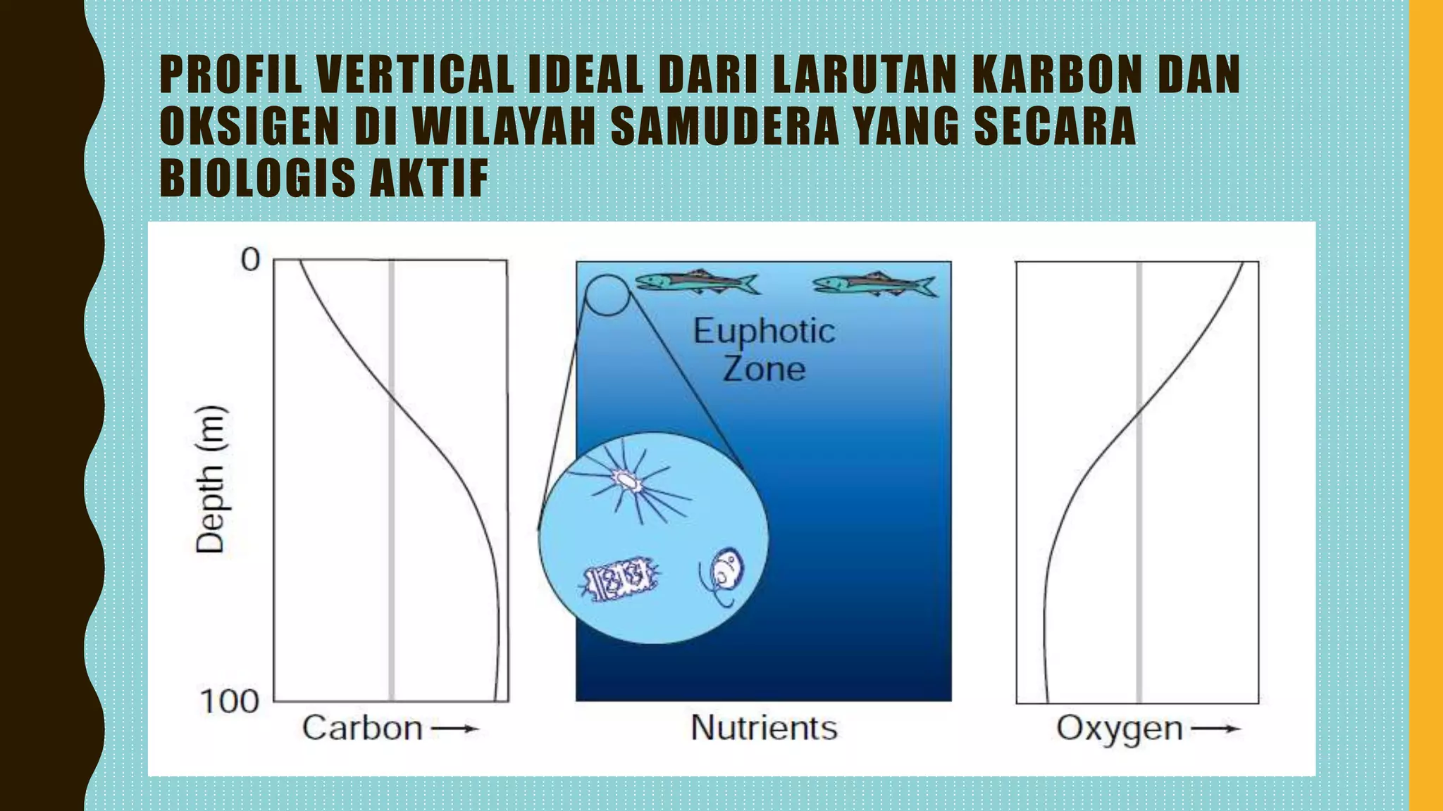 Materi Tentang Samudera, Arus Laut, Sirkulasi Laut & Salinitas | PPTX