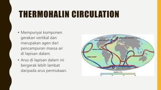 Materi Tentang Samudera, Arus Laut, Sirkulasi Laut & Salinitas | PPTX