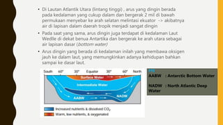 Materi Tentang Samudera, Arus Laut, Sirkulasi Laut & Salinitas | PPTX