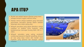 Materi Tentang Samudera, Arus Laut, Sirkulasi Laut & Salinitas | PPTX