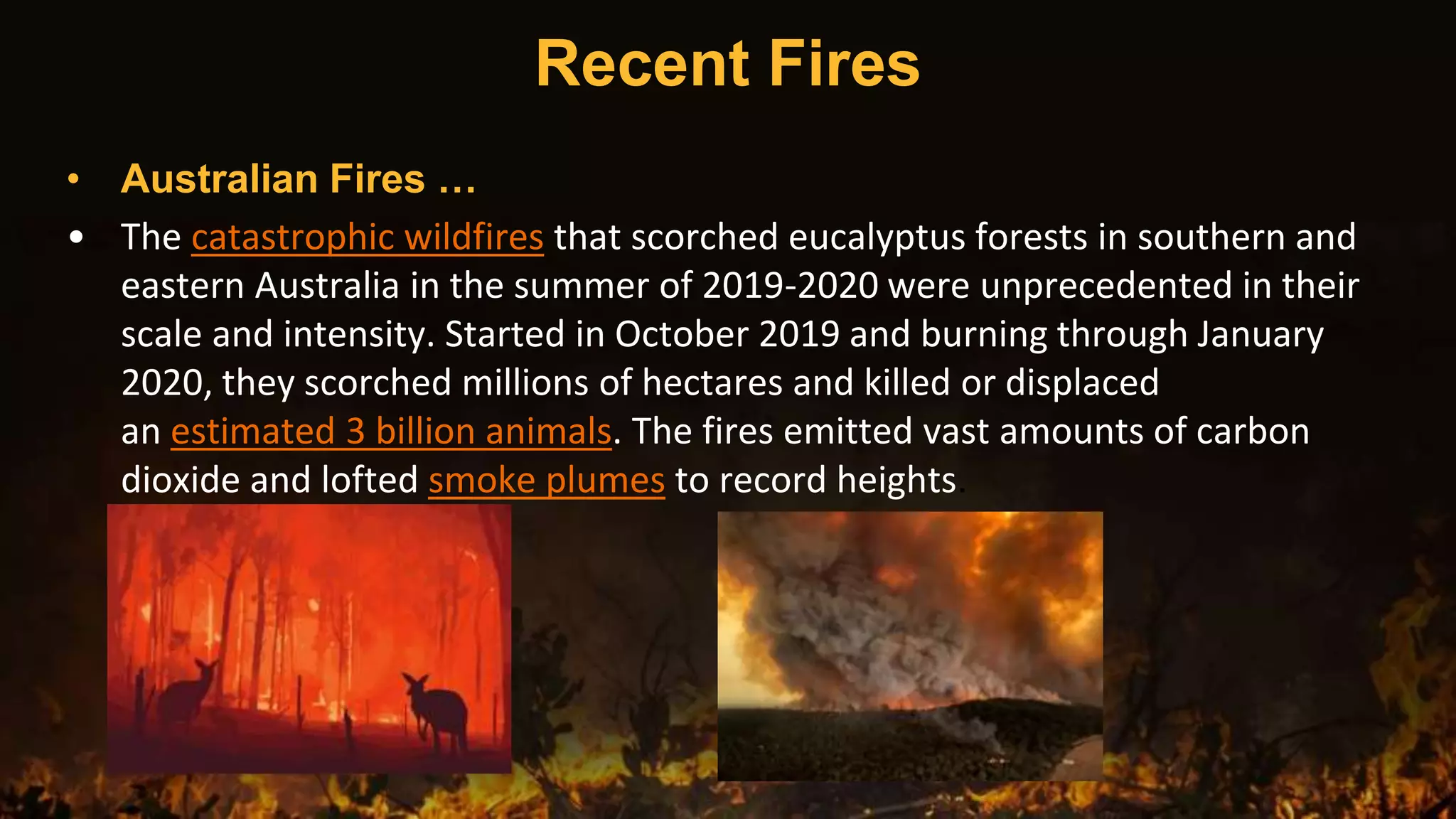 forest fire management.ppt