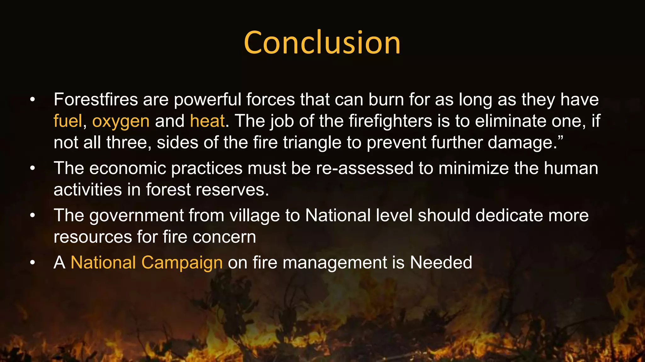 forest fire management.ppt