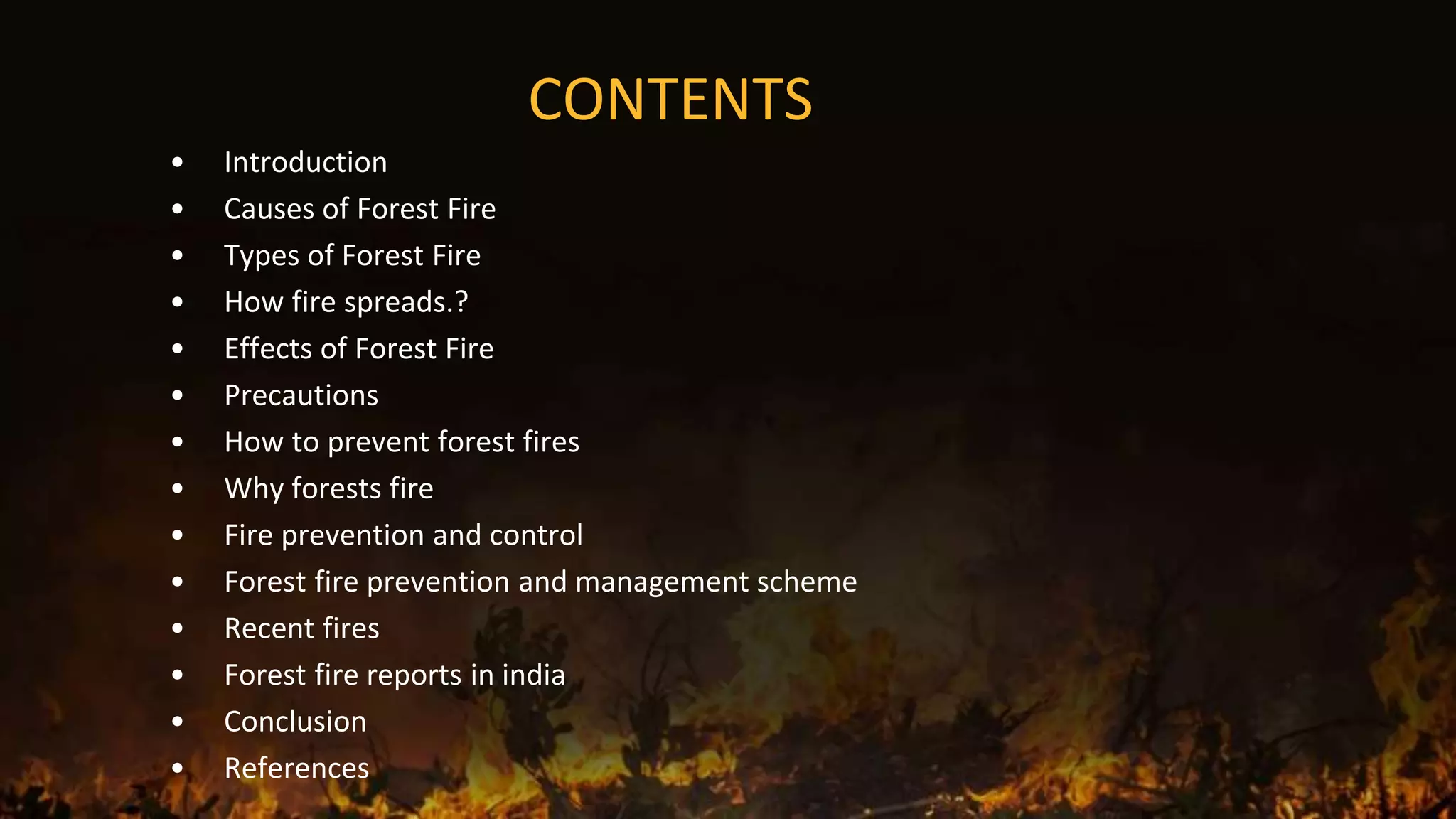 forest fire management.ppt