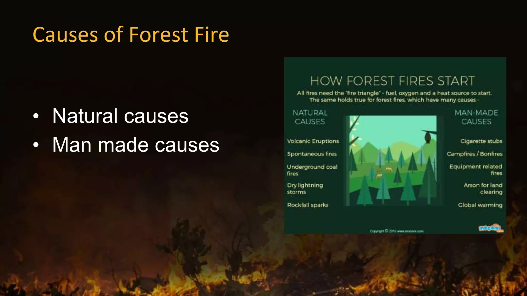 forest fire management.ppt