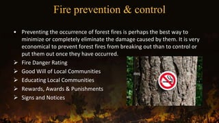 forest fire management.ppt
