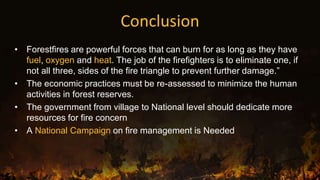 forest fire management.ppt