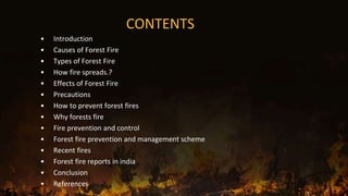 forest fire management.ppt