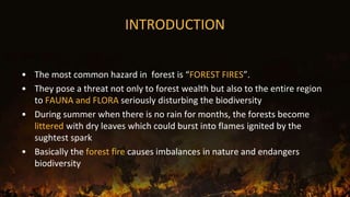 forest fire management.ppt