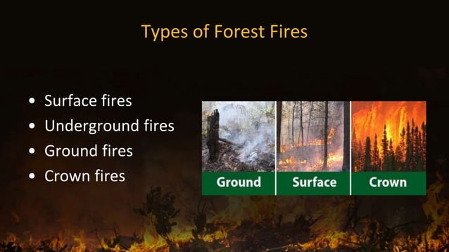 forest fire management.ppt