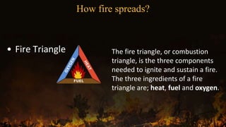 forest fire management.ppt
