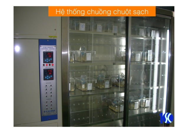 quy trình và nguyên lý sản xuất kháng thể đơn dòng | PDF