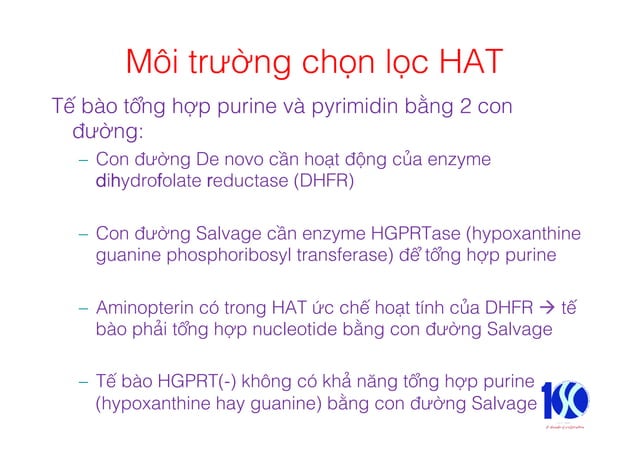 quy trình và nguyên lý sản xuất kháng thể đơn dòng | PDF