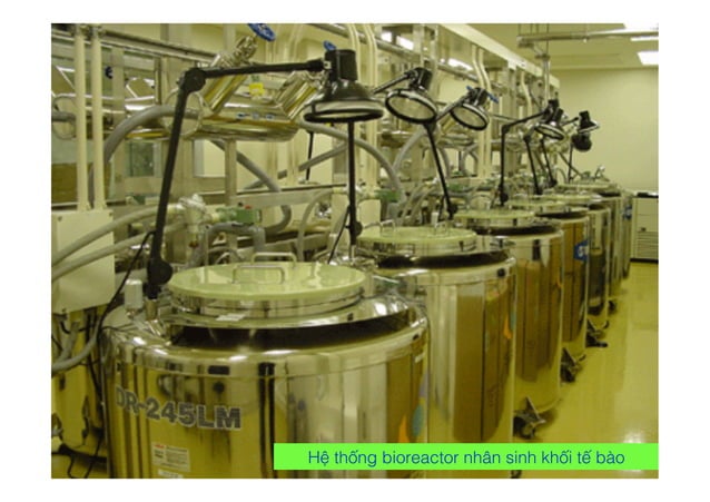 quy trình và nguyên lý sản xuất kháng thể đơn dòng | PDF