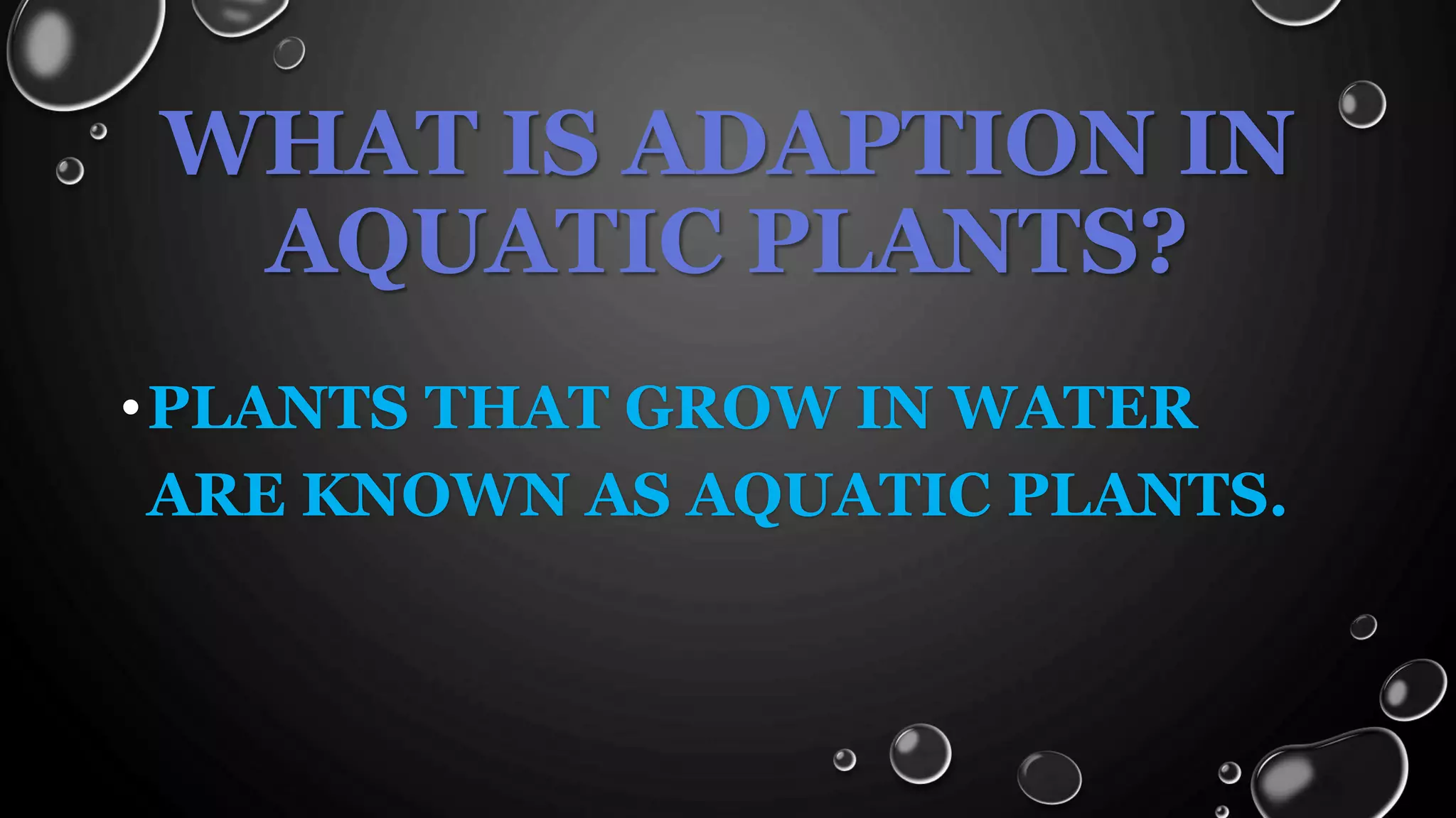 Adaptation of aquatic plants | PPTX