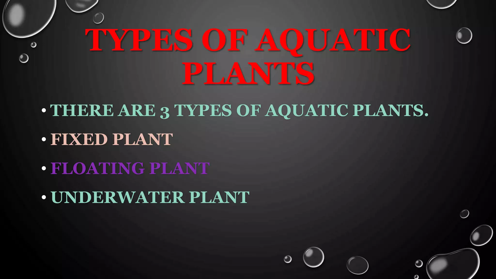Adaptation of aquatic plants | PPTX