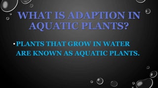 Adaptation of aquatic plants | PPTX