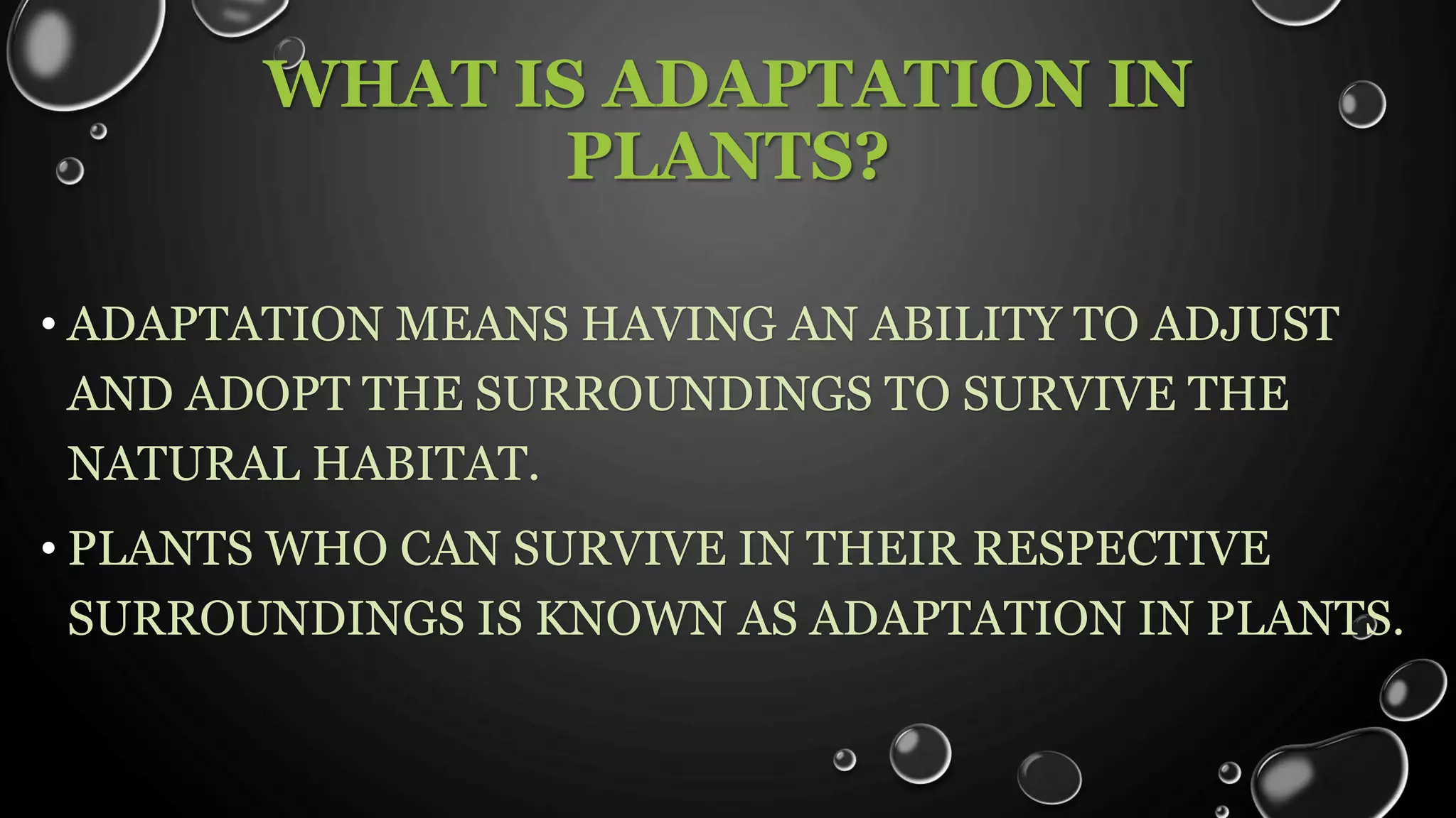Adaptation in Plants | PPTX