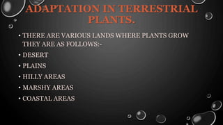Adaptation in Plants | PPTX