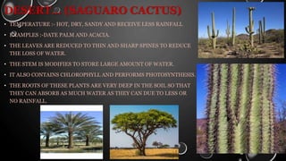 Adaptation in Plants | PPTX